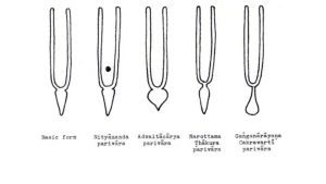 Types of Tilak on Forehead: Tradition, Symbolism & More